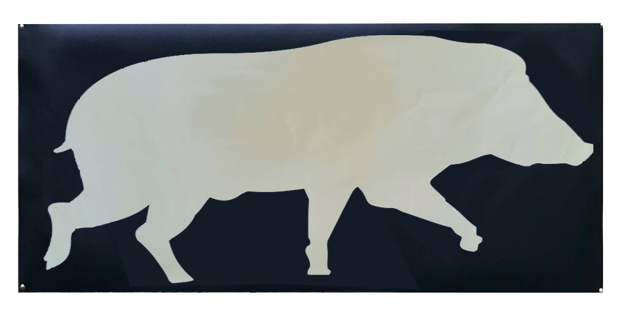 Wild Hog Target – Down Range Thermal